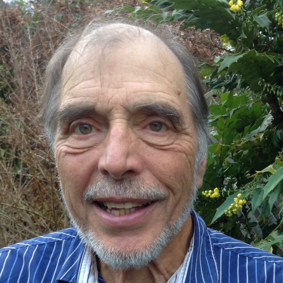 Our Committee – Comprehensive Future